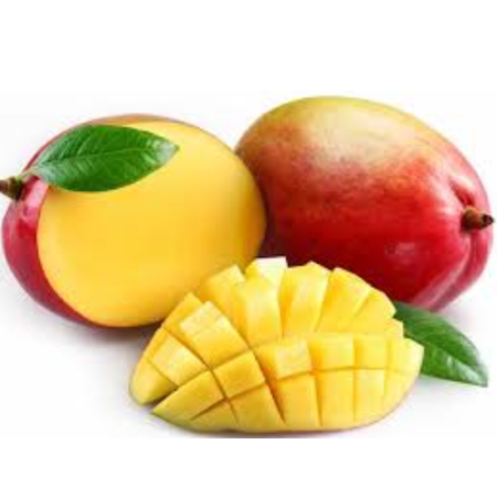 Manga Barco - Fresh2Go